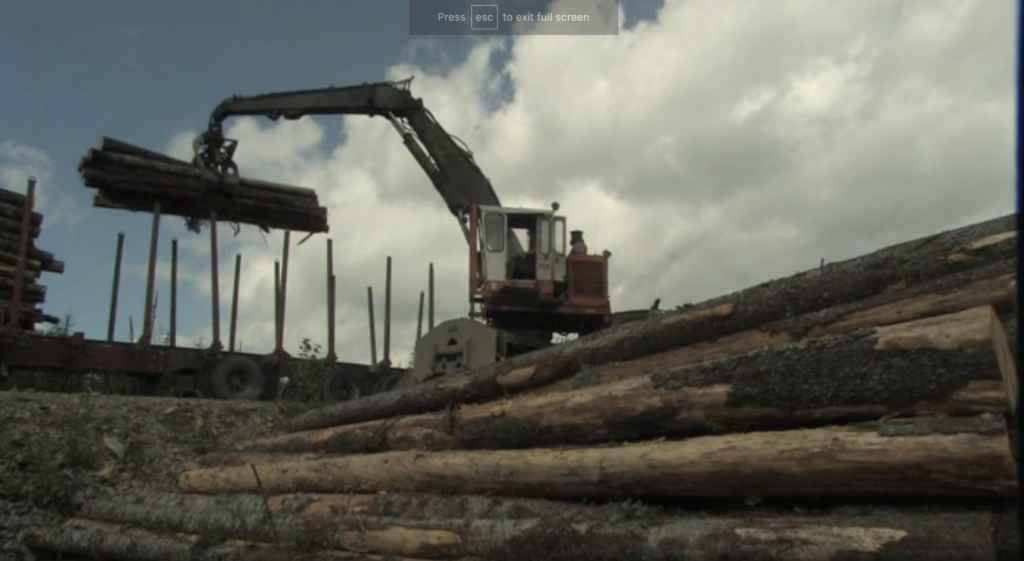 Gaspesian Memories Collection: Forestry - Bonfyre Media